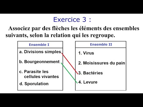 Les microbes exercices corrigés - YouTube