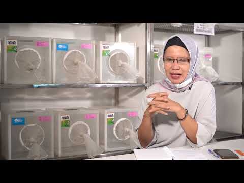 Essential Leadership Part 2 Prof dr Adi Utarini M Sc MPH Ph D - YouTube