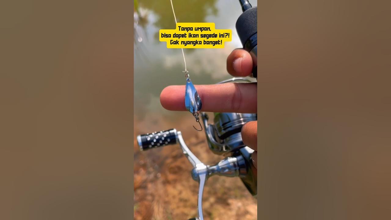 Mancing TANPA UMPAN?! Hasilnya Bikin Kaget!#Mancing #Fishing #Strike #MancingLiar # ...