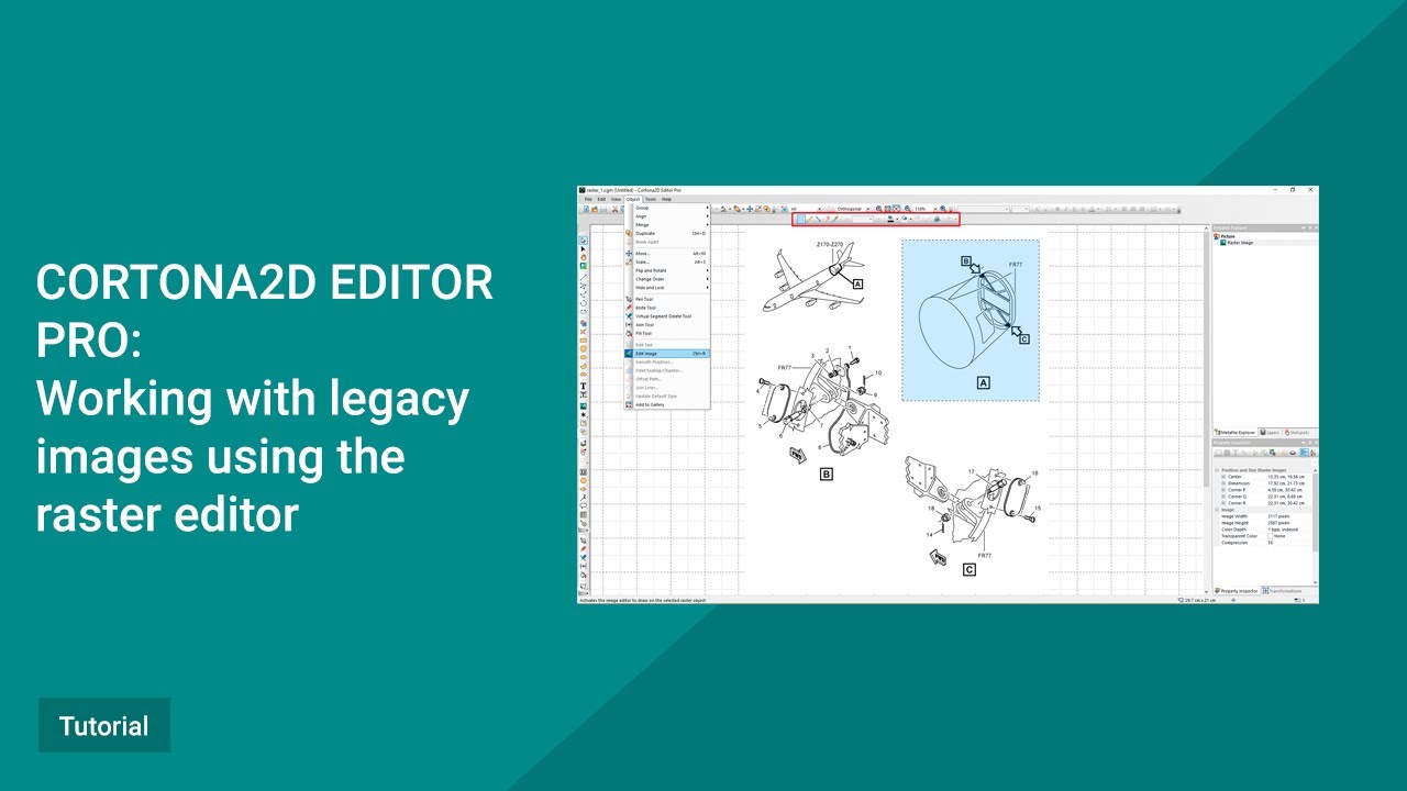 Cortona2D Editor Pro Tutorial. Working with legacy images using the raster editor - YouTube