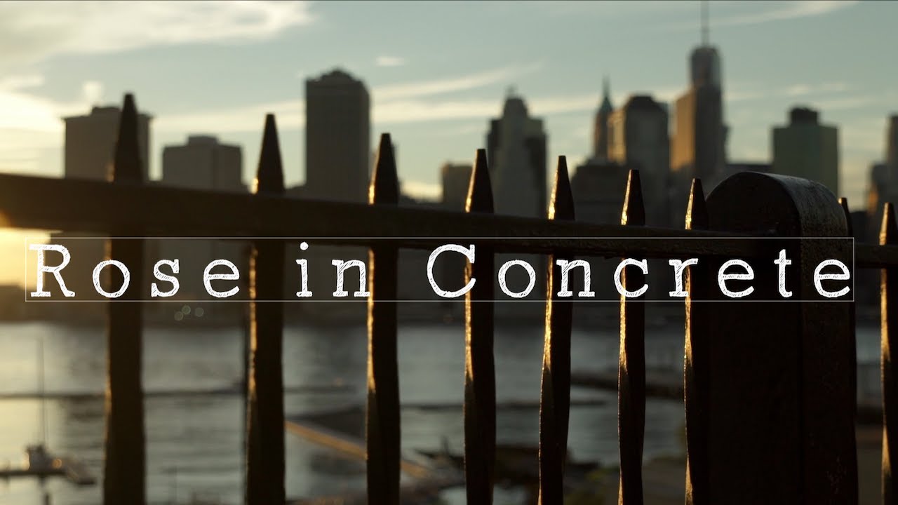 Rose From Concrete Inspirational Story - YouTube