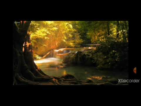 Surah Al Mulk by Ismail Annuri - YouTube