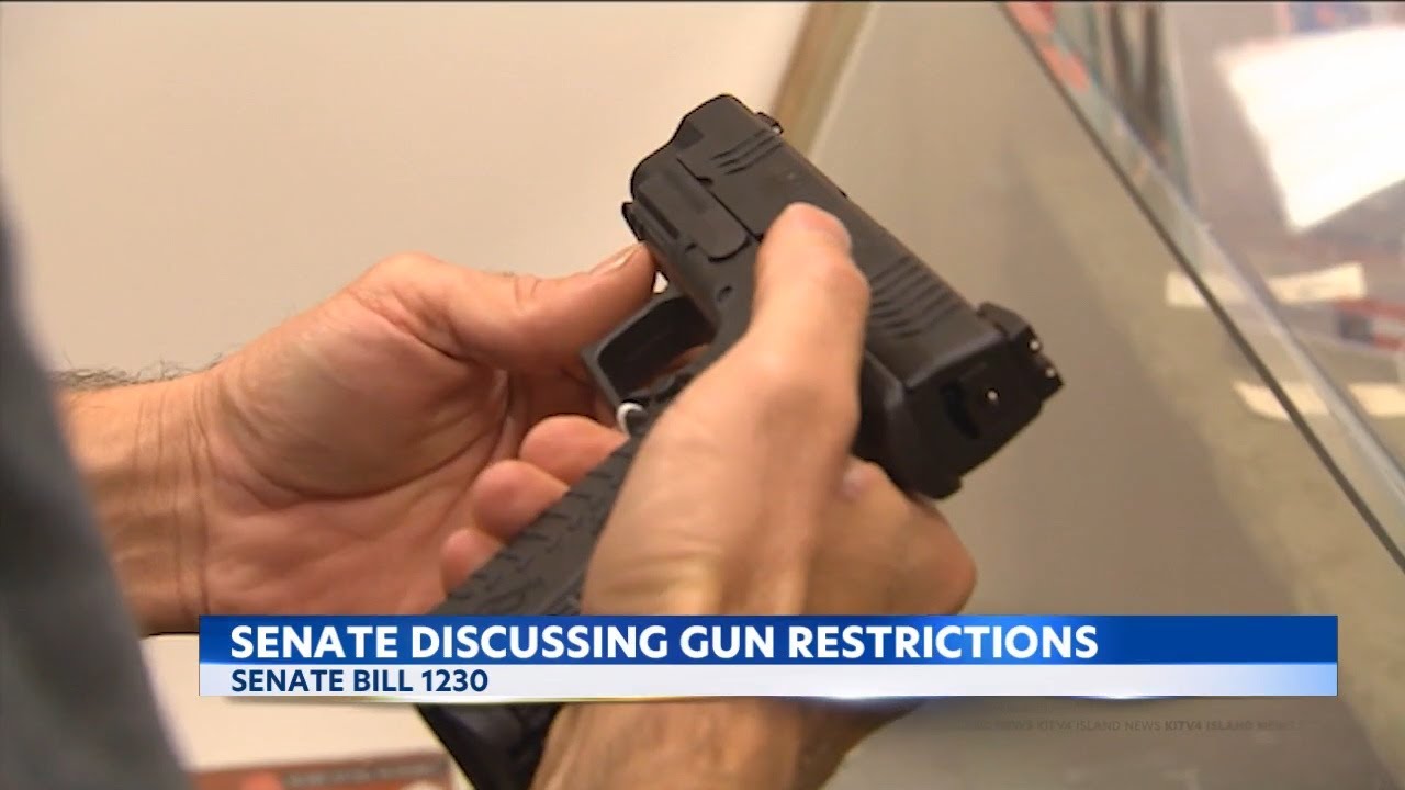 Hawaii state lawmakers looking at gun rights, restrictions - YouTube