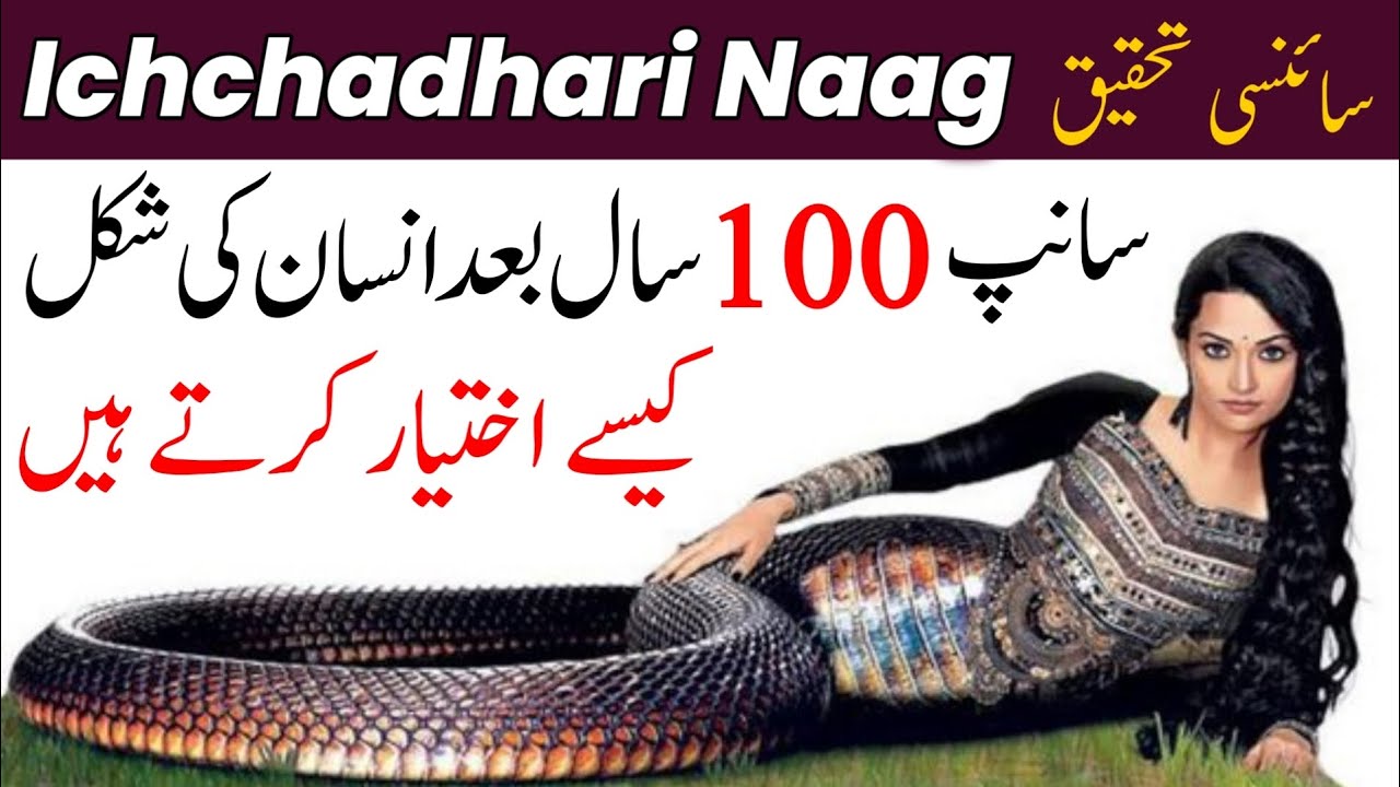 Do Snakes become human after 100 Years - Ichchadhari naag - YouTube