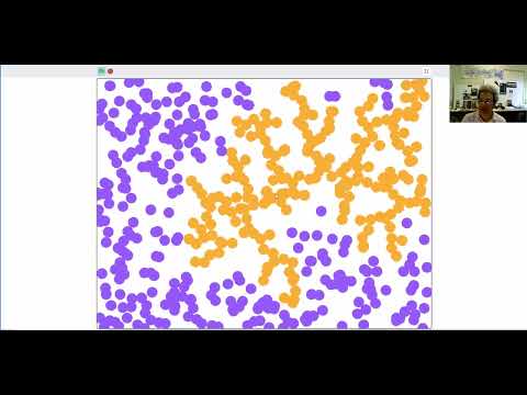 Diffusion-Limited Aggregation in Scratch 1 - YouTube