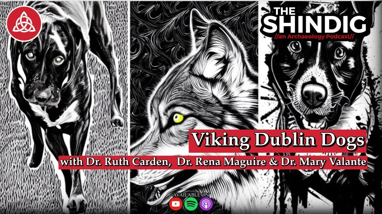 Viking Dublin Dogs: Deciphering Dogs, Wolves and Horses in the Viking ...