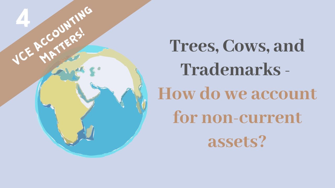VCE Accounting Matters #4 - Trees, Cows, and Trademarks - How do we ...