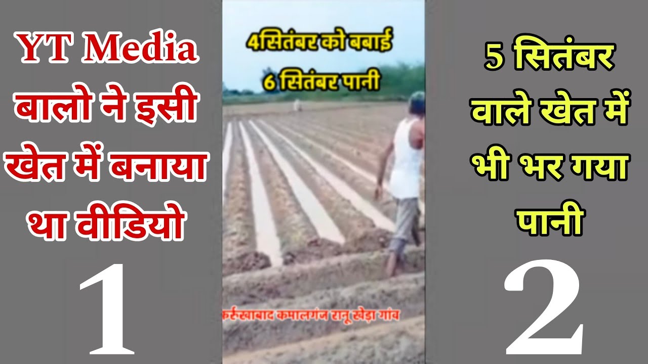 YT Media वालों ने इसी खेत का बनाया था वीडियो | जो कि मूसलाधार बारिश से ...