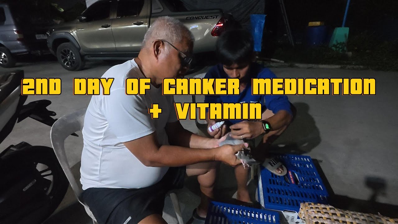 2ND DAY OF CANKER MEDICATION + VITAMIN FOR OUR FLYERS - YouTube