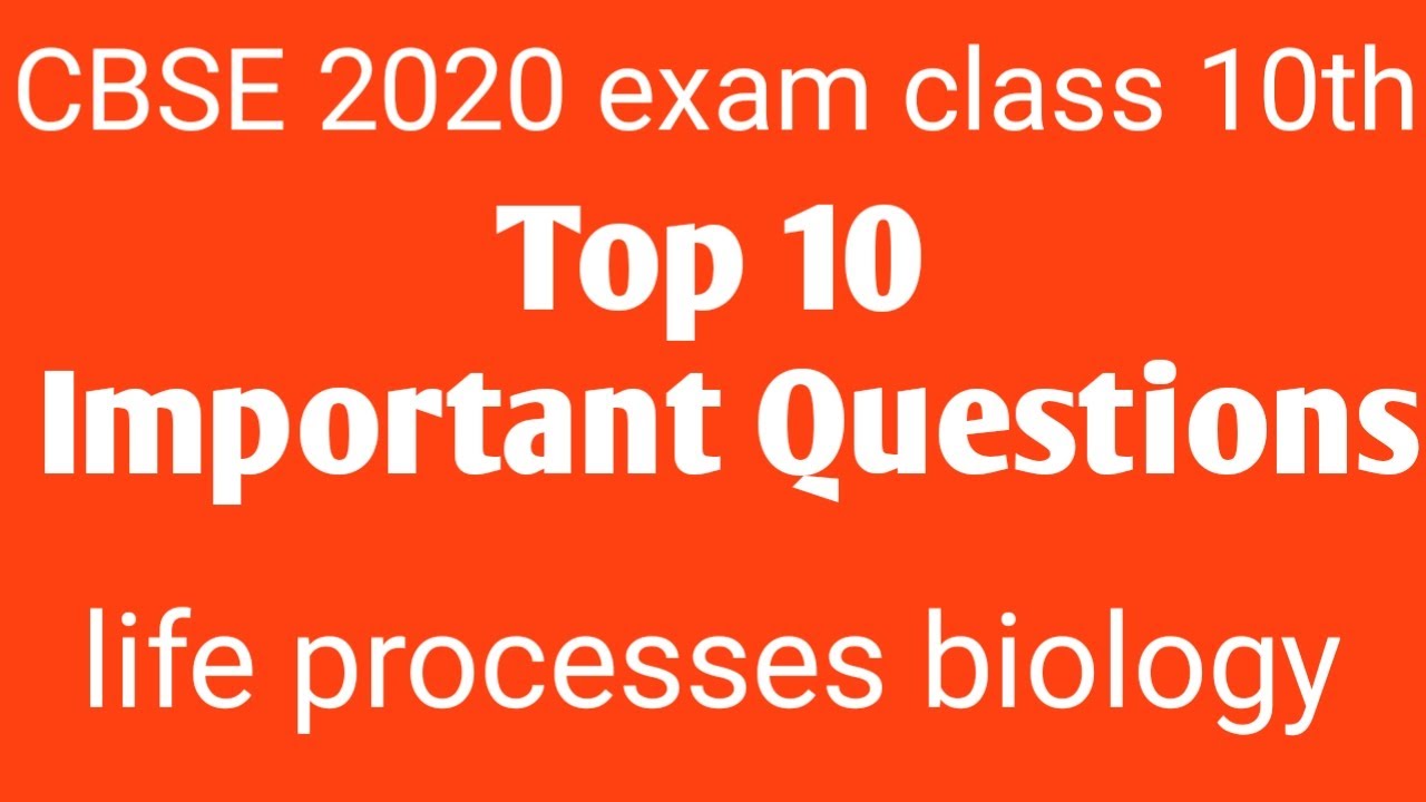 CBSE 2020 Important Questions || Top 10 Questions of Life Processes ...