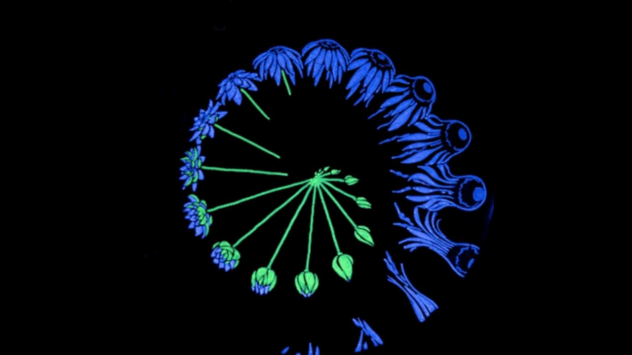 El 5to Elemento | H-Skills Feat Neosck | Rapsquizofrenía Crew | - YouTube