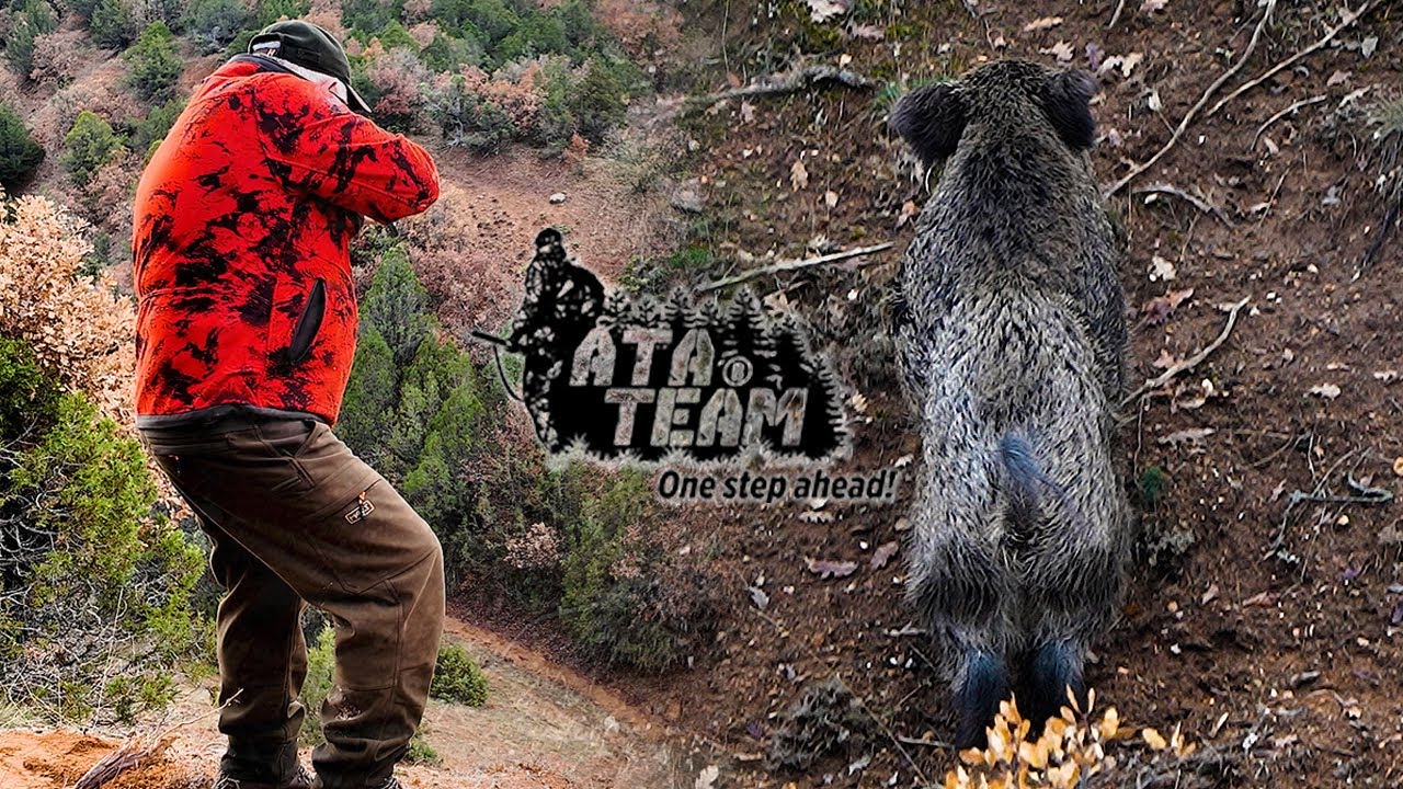 ATA TEAM Domuz Avı S09E04 Wildboar Hunting - YouTube