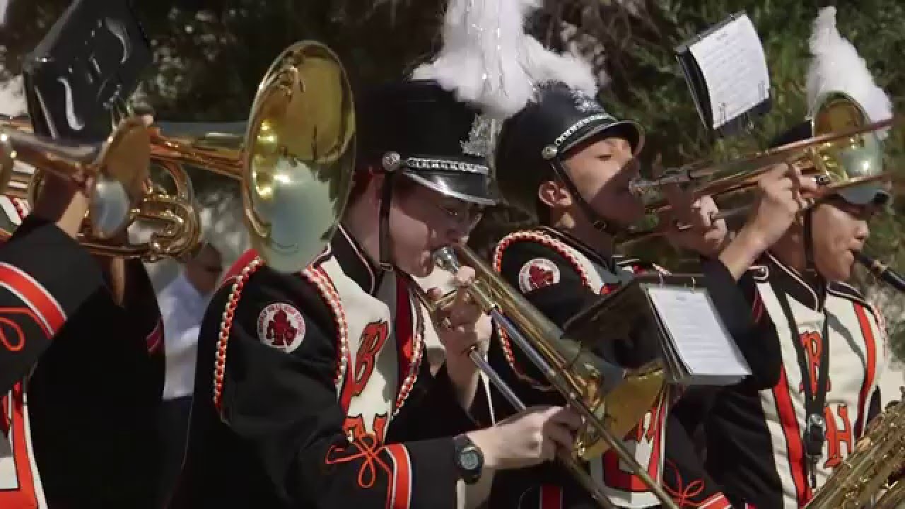 Beverly Hills 90212 - A Band With Stardust Heritage | LNYDP 2016 - YouTube