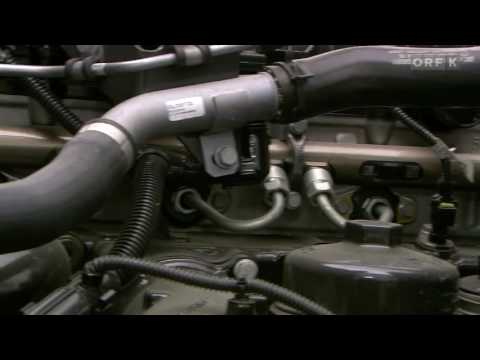 Die Kärntner Transporteure - Bruno Urschitz