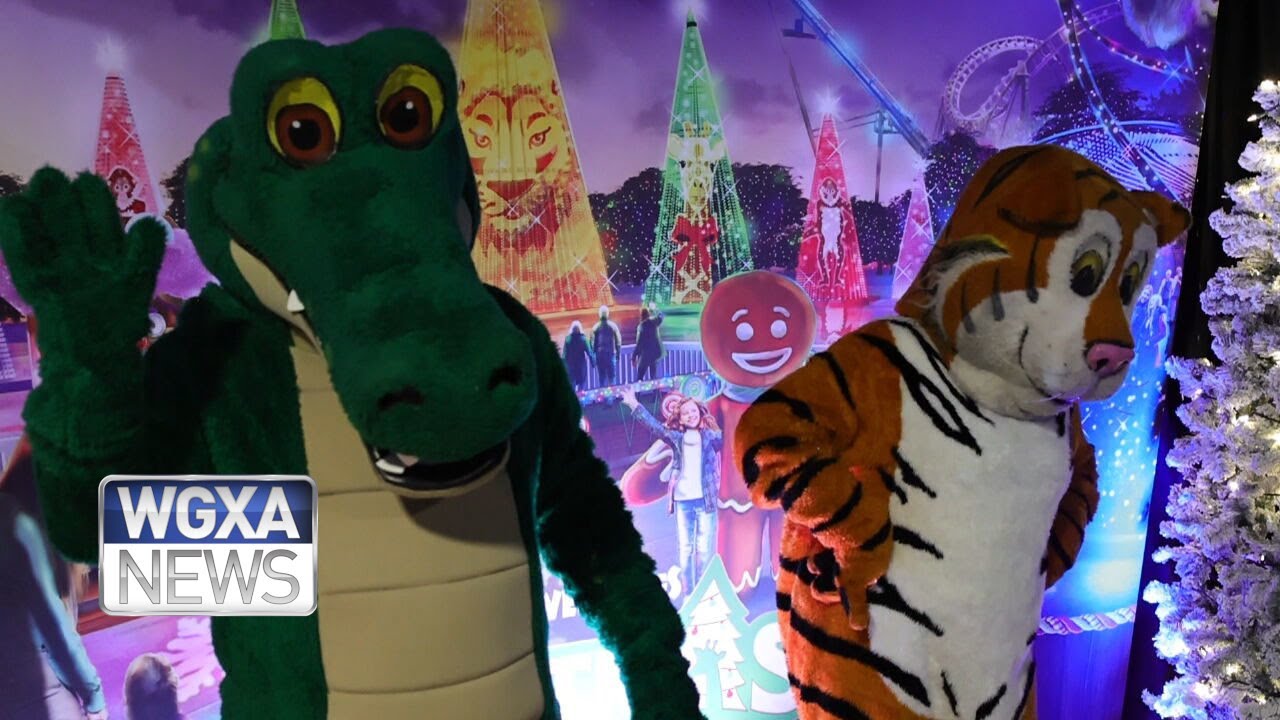 Wild Adventures to sparkle with 2 million lights in new holiday event ...