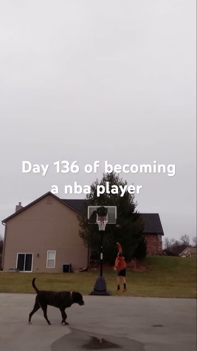 day 236 #foryou #funny #basketball #viral #plsesubscribe #youtubeshort ...