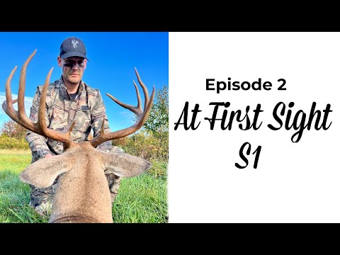 E2 "At First Sight" Bow hunt whitetail deer - YouTube