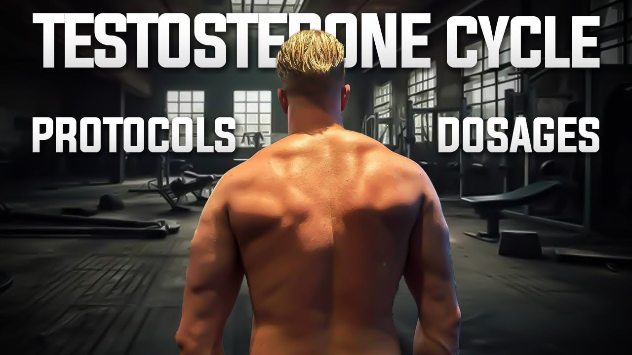 Staying Healthy During a Steroid Cycle: Quick Guide Under 9 Minutes ...