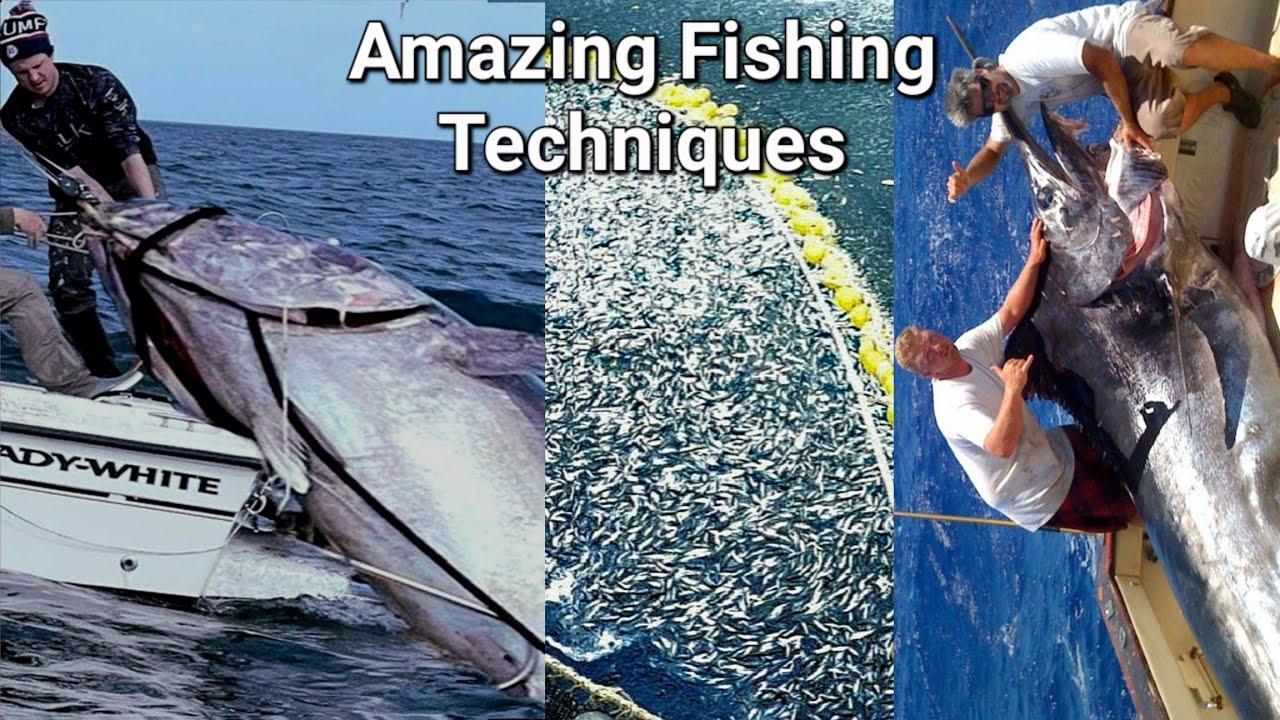 Amazing Fishing Techniques | Fish Processing Industry | Giant Fish ...