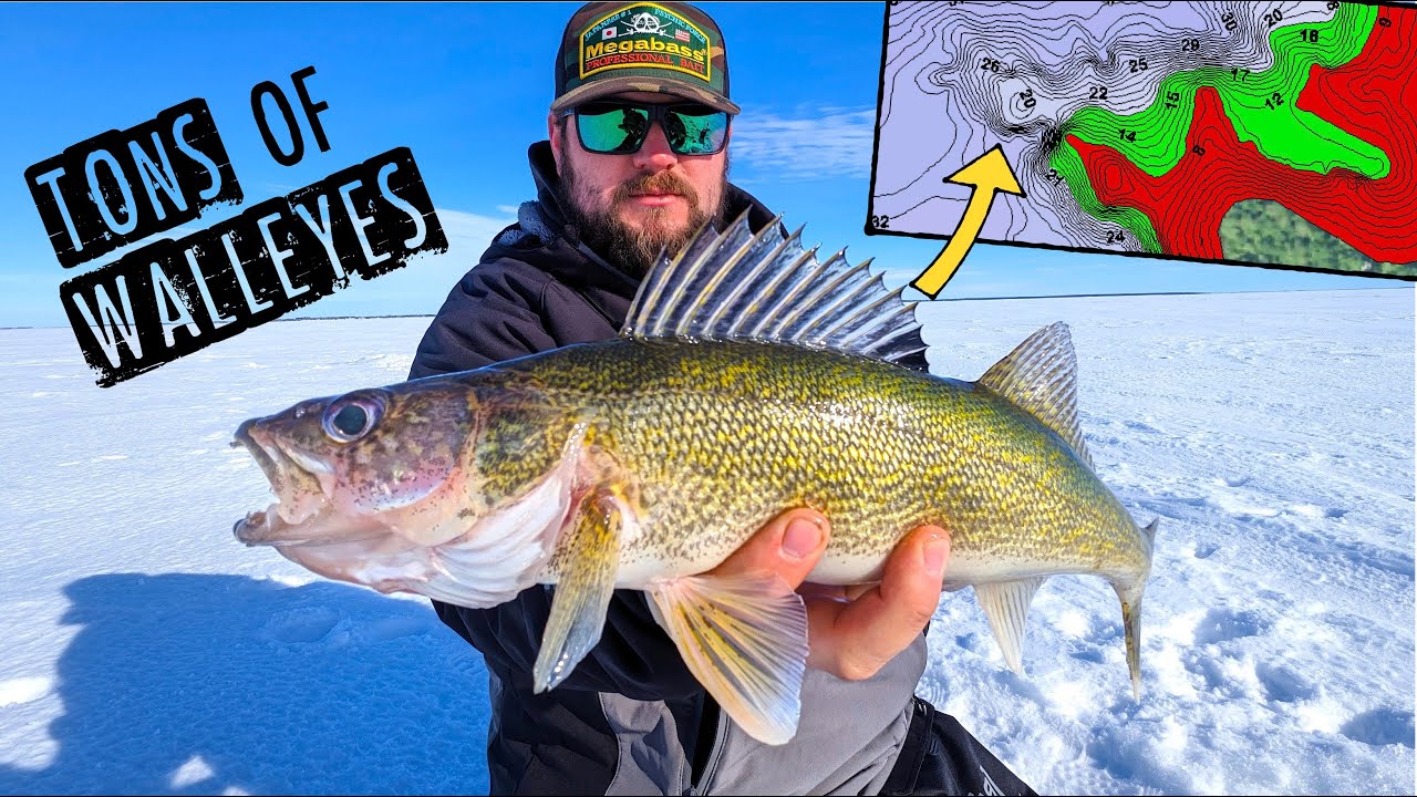 CRUSHING a TON of Walleyes Ice Fishing My FAVORITE Place! - YouTube