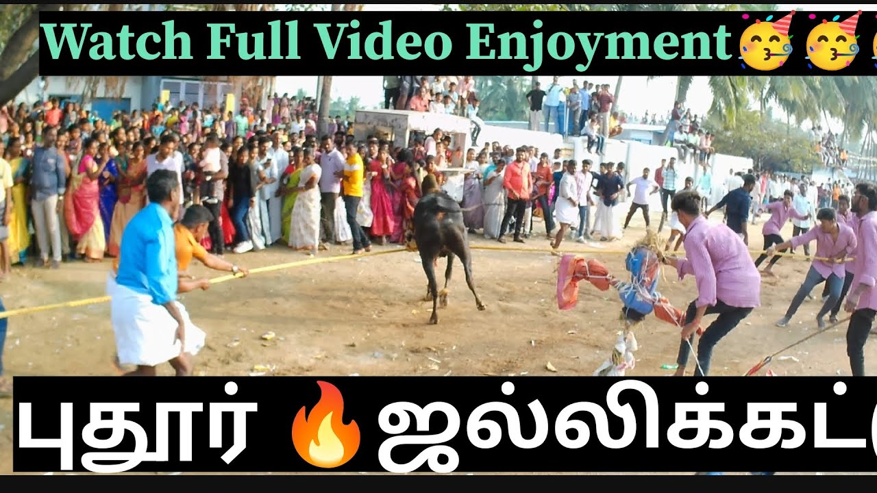👿காளையின் ஆட்டம்..🐂|மக்களின் ஓட்டம்..🏃🏃Watch Full video enjoyment # ...