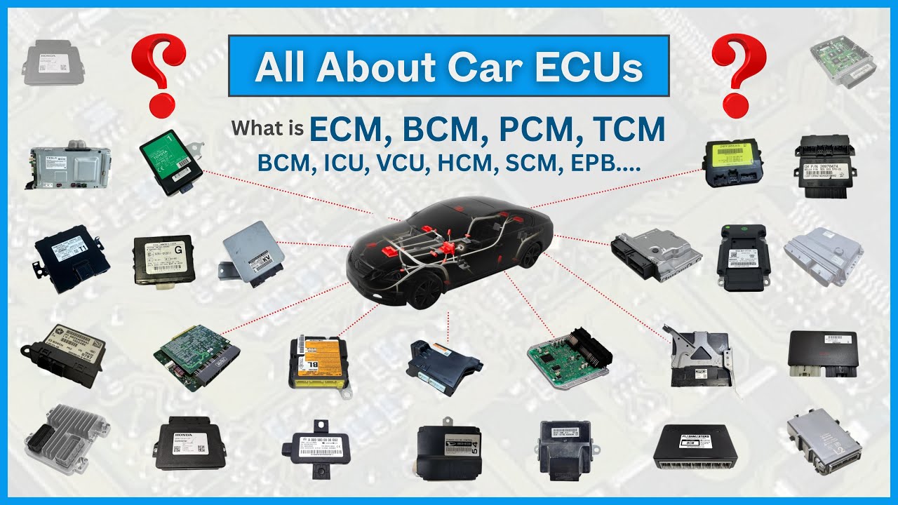 The Function and Purpose of All Electronic Control Units (ECUs) Present ...