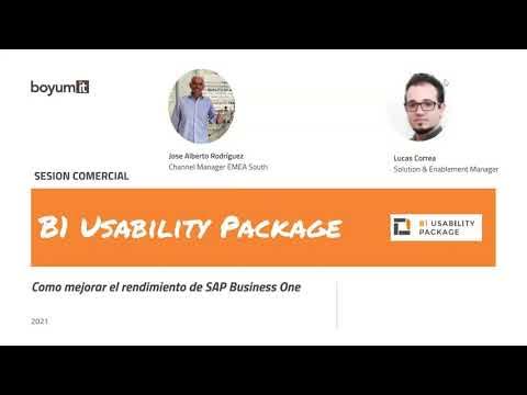 B1 Usability Package: Como mejorar el rendimiento de SAP Business One ...