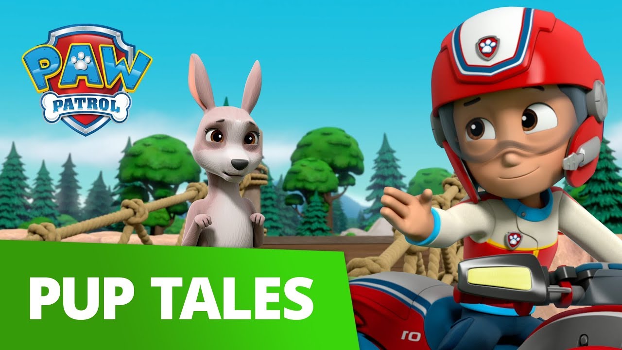 PAW Patrol - Pups Save a Kangaroo - Rescue Episode - PAW Patrol ...