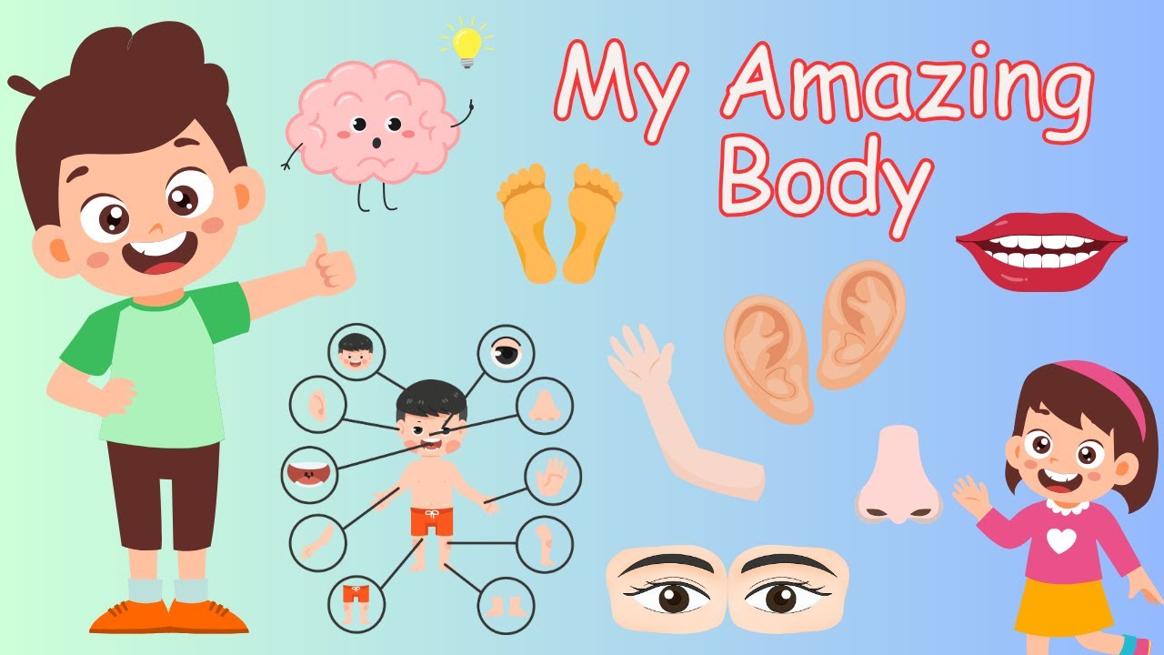 Fun Body Parts Song for Kids | My Amazing Body | Let's Learn Body Parts ...