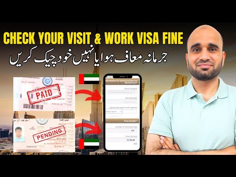 🇦🇪 How To Check Dubai Work & Visit Visa fine status, How to check ...