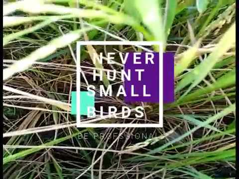 HUNTING SEASON 1 - YouTube