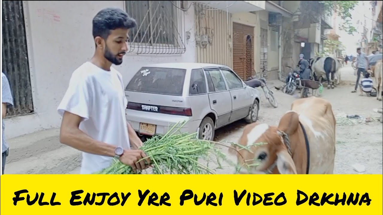 Dost ne Parrot pakra || Qurbani ke Janwaron ke sath Full Enjoy - YouTube