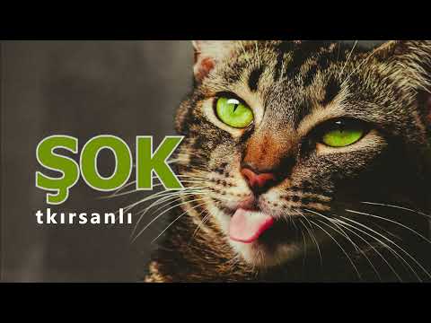 ŞOK  #rockmusic#music #türkiye #romanticmusic #world #games #holiday #roadmusic#hard#hiphopmusic