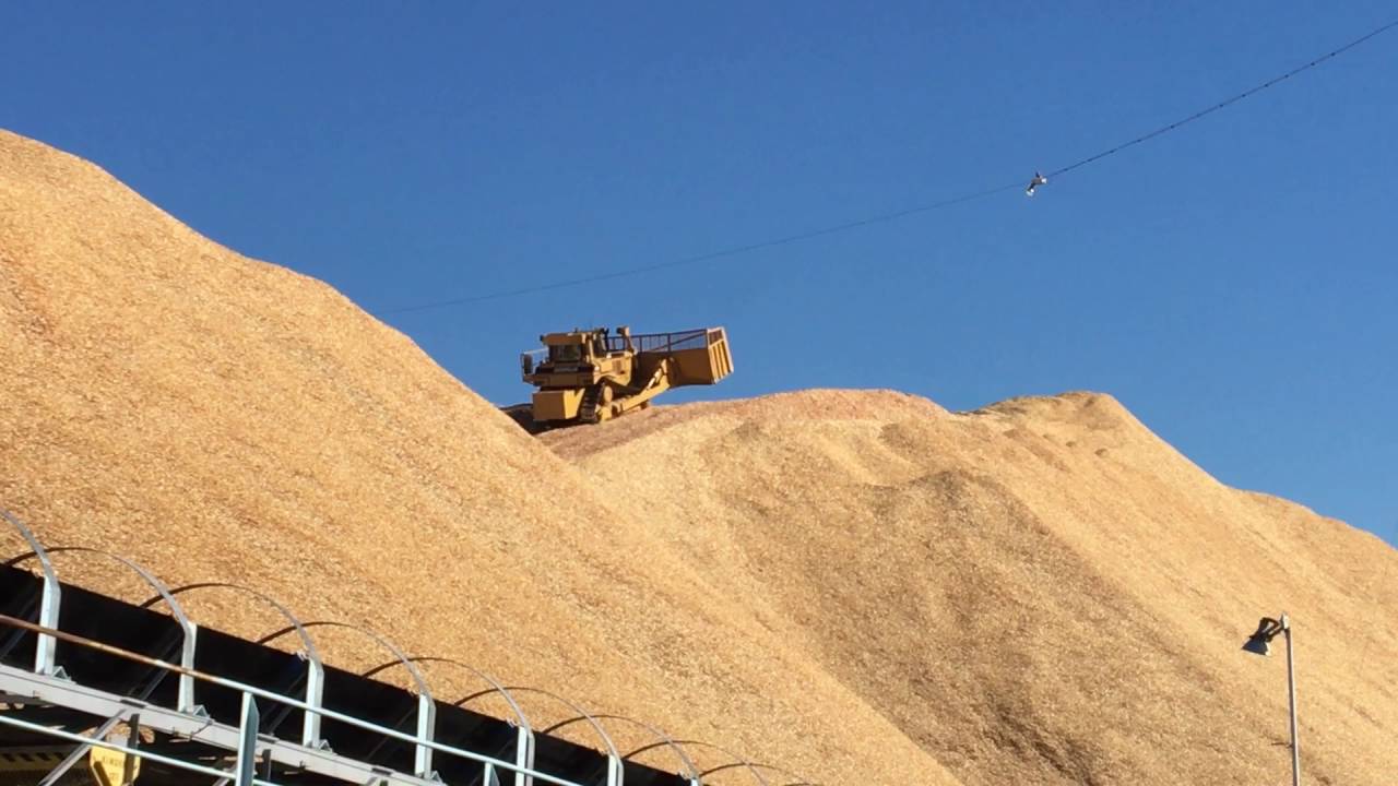 Digger Caterpillar Bulldozer Pushing Wood Chips Around - YouTube