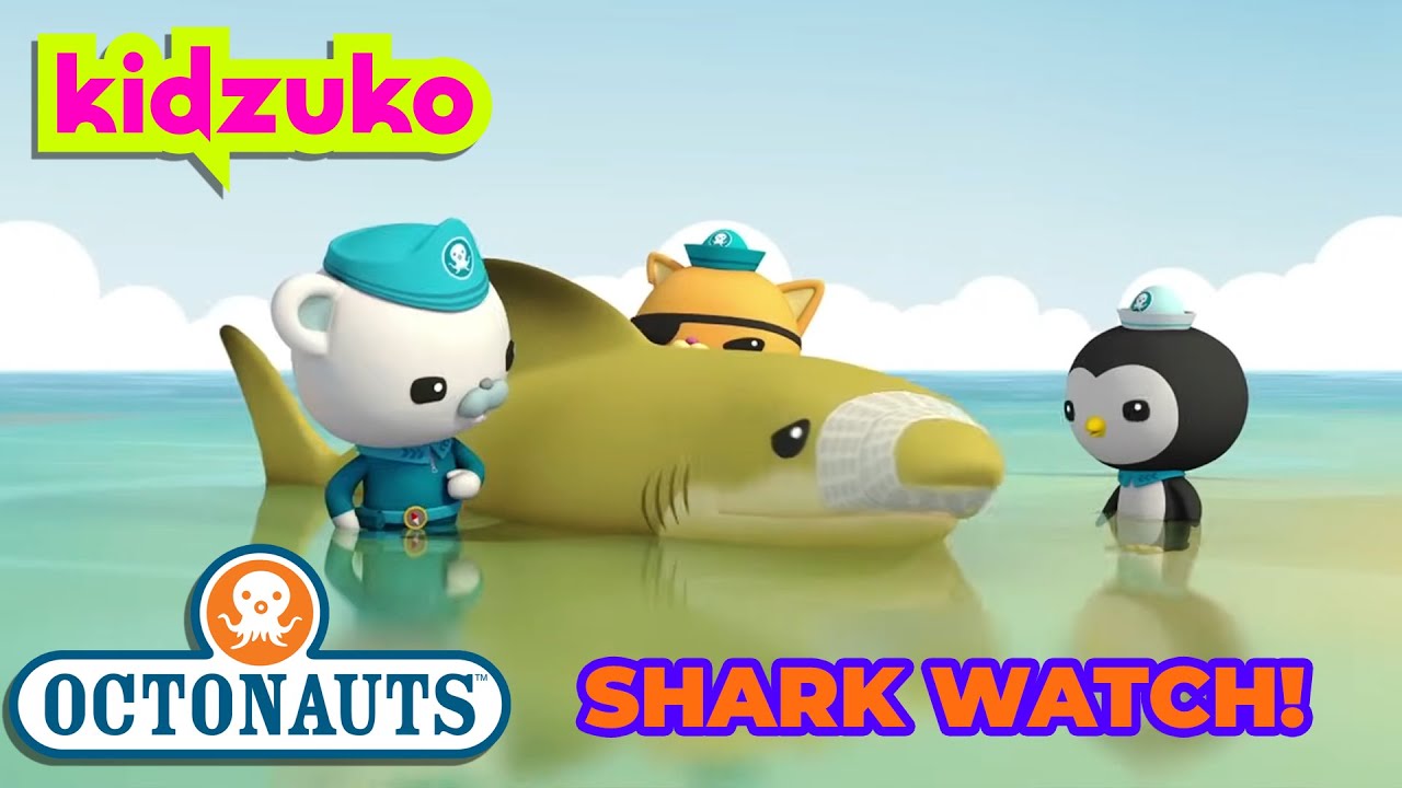 @Octonauts - 🤗 Friendly Neighbhorhood Shark Watch 🦈 | Shark Week ...