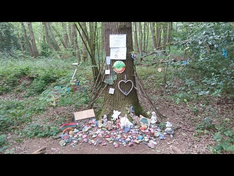 Walking about in Selsdon Woods Live! 14/05/2020 - Mobile Stream (112 ...
