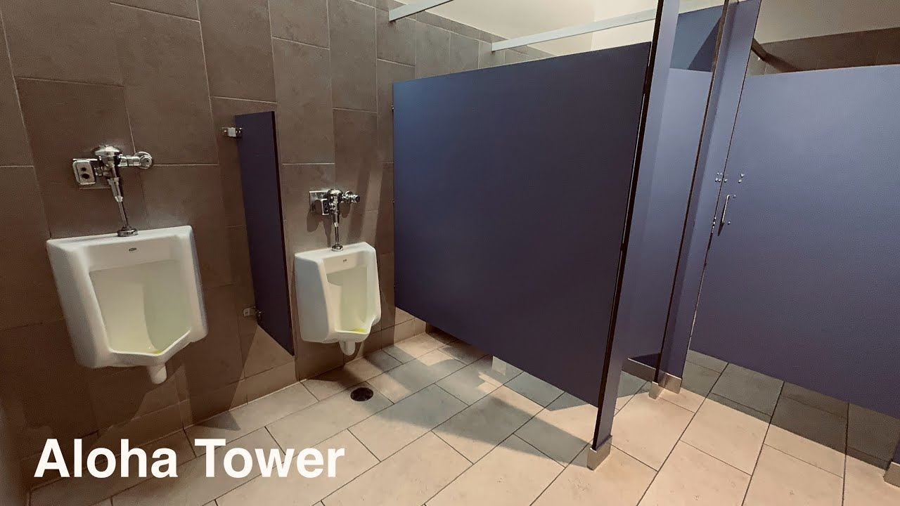 Men’s & Women’s Restroom Zurn Urinal & EcoVantage Toilet Flush, Dyson ...