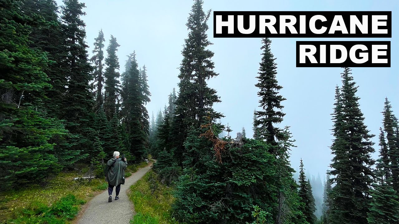 Olympic National Park's Hurricane Ridge Trails & Scenic Drive | Best ...