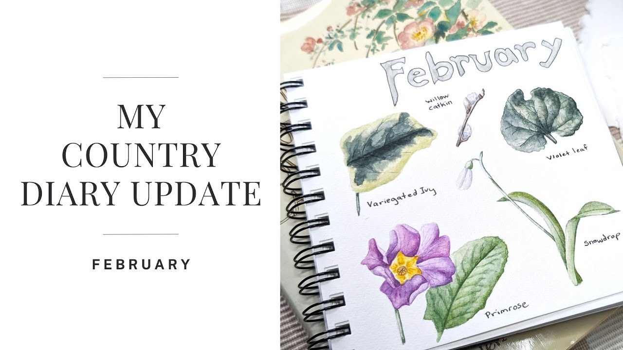 February 2024 Country Diary Update - YouTube