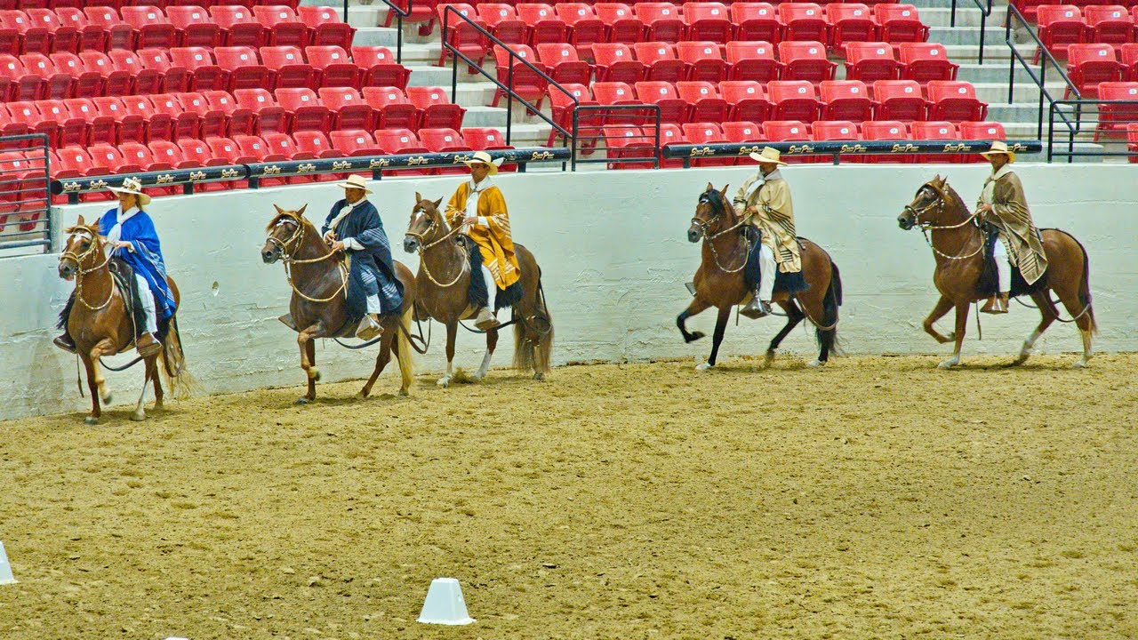 Gold Rush Classic Peruvian Horse Show 2025 - YouTube
