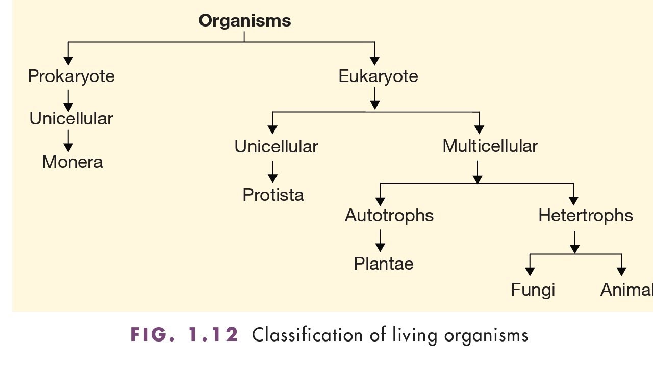 Pearson's Biology class 7th | Basic of classification | #neetmotivation ...