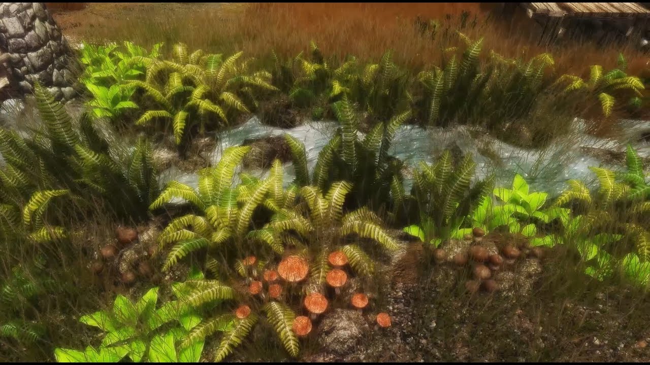 Skyrim mod spotlight 2016. Renthal HD Flora - YouTube