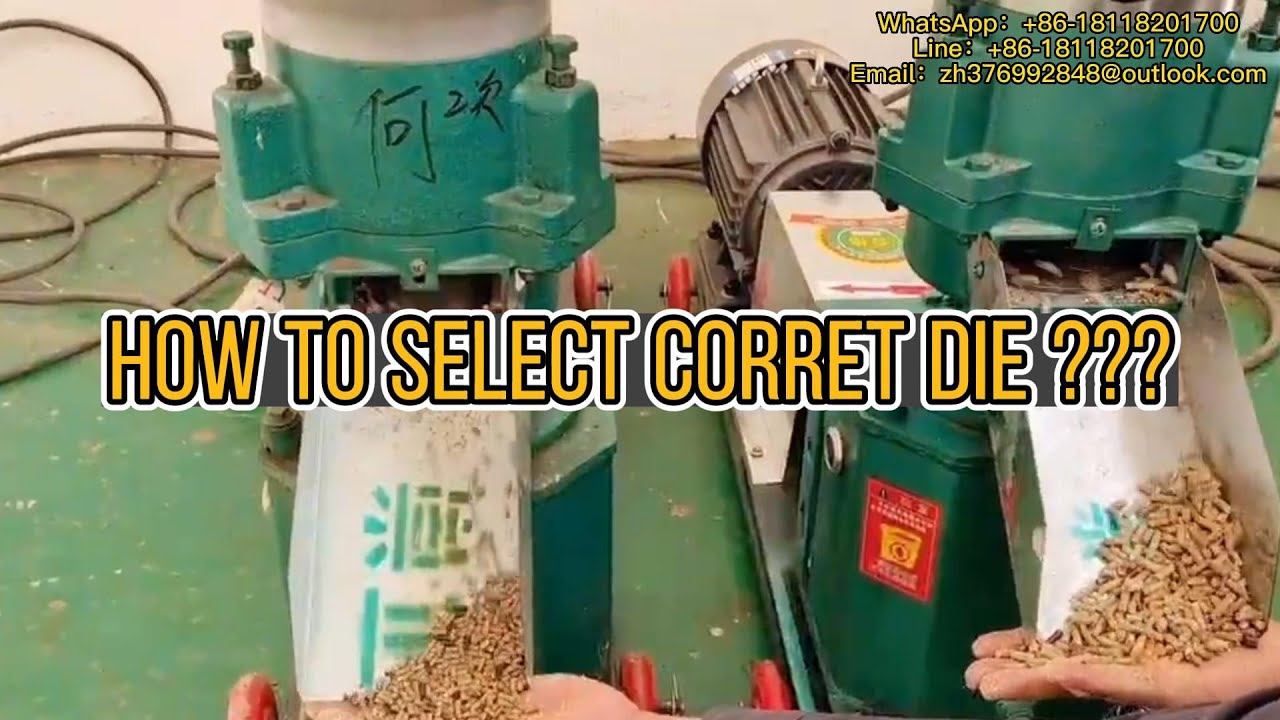 homemade feed pellet machine, low cost feeding, feed pellet size - YouTube