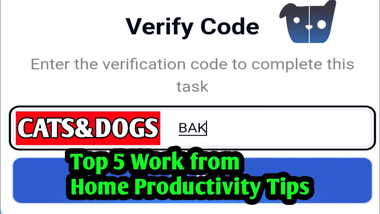 Top 5 Work from Home Productivity Tips | Cats&Dogs Youtube Video Code ...