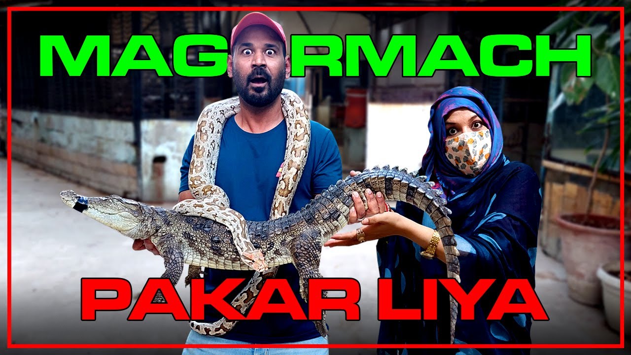 Magarmach Pakar Liya | The Wildlife Experience Center Karachi | Full of Adventure | Sajjad ...