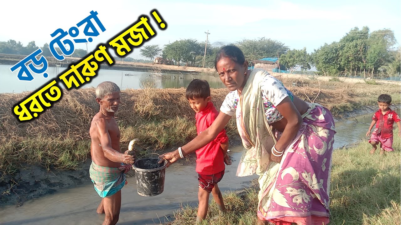 Mastering the Art of Tengra Fishing Pro Tips and Techniques ...