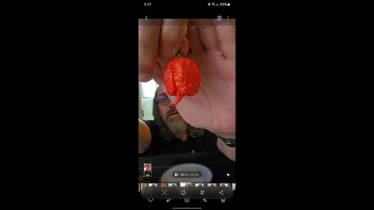 Vicious Red Pepper Review - YouTube