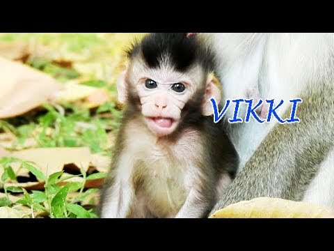 What's wrong to baby Viki until Vikki show angry face like this ? Vikki ...