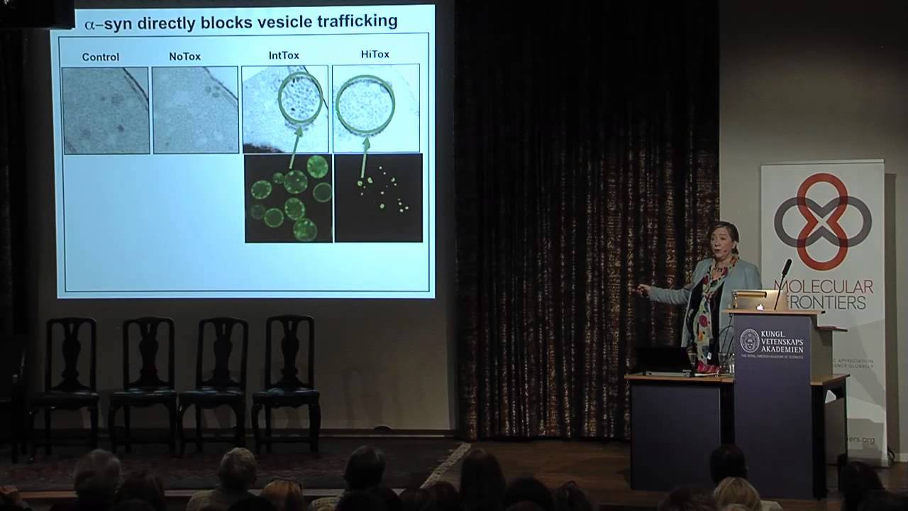 Susan Lindquist: From yeast cells to patient neurons - YouTube