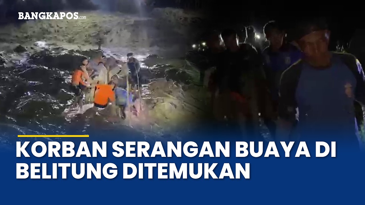 Korban Terkaman Buaya di Belitung Ditemukan Usai Air Kolong Surut - YouTube